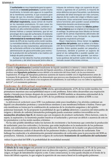 Resumen del examen final de embrio morfo 2 | JEAN PIERRE | uDocz