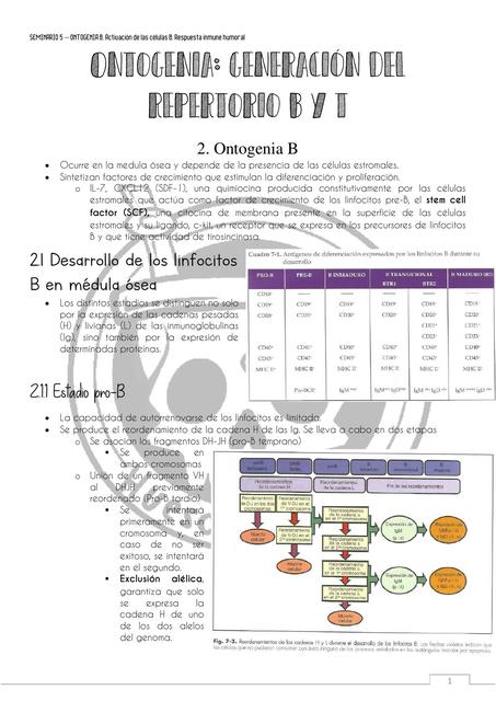 Ontogenia B | Rvinsh Shcn | uDocz