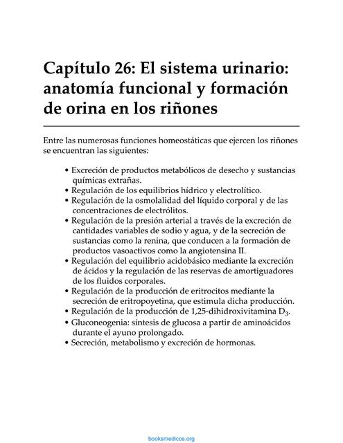 El sistema urinario: anatomia funcional y formacion de orina en los riñones | cal25 | uDocz