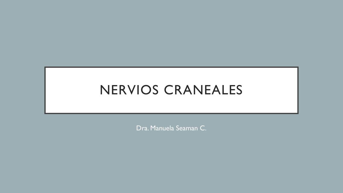 4 1 Nervios Craneales | Daniela | uDocz