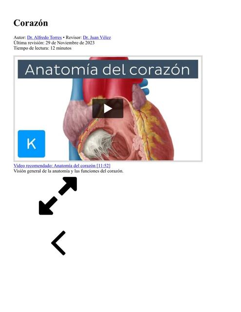 Anatomía del corazón Estructura válvulas vasos Ken | El justiciero de ...