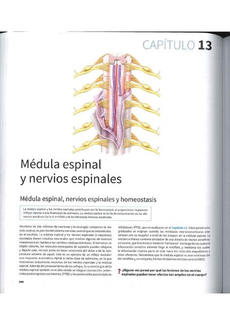Cap 13 14 15 Tortora | Lia | uDocz