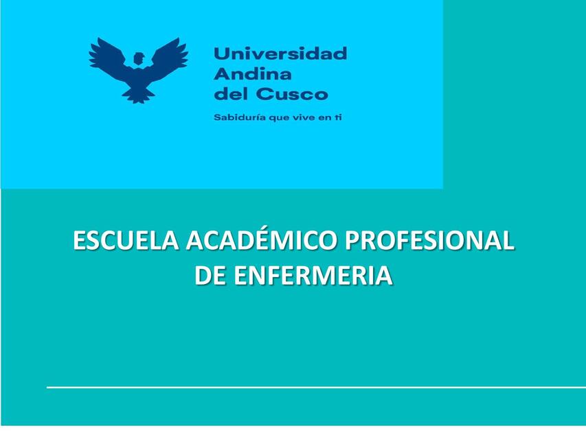 14 RCP adultos Teoría | ana juliette | uDocz