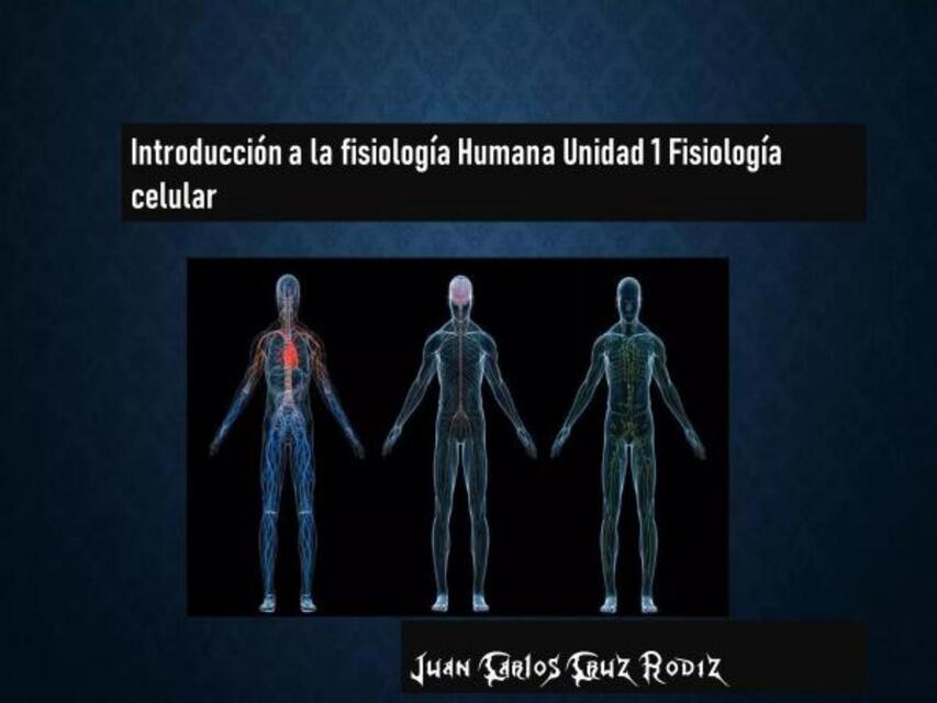 Fisiología Cap 1 3 | Rodiz | uDocz