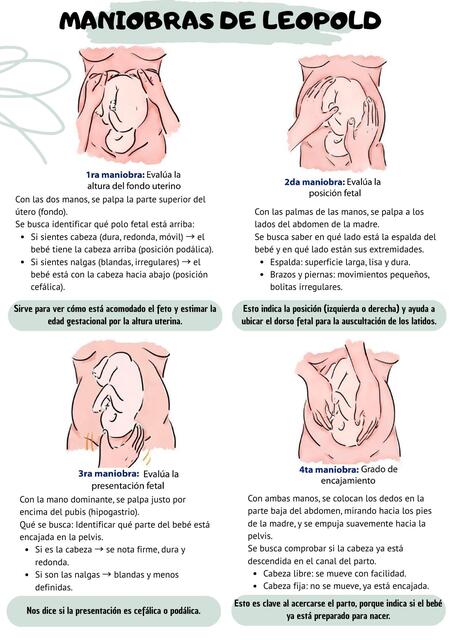 salud de la mujer y recie | uDocz