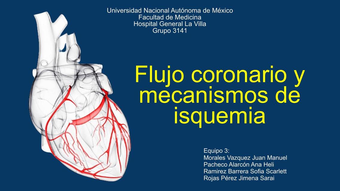 flujo coronario | Luz Fernanda Argandona de la Rosa | uDocz