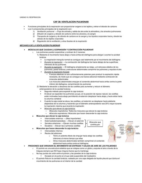 Cap. 38: Ventilación Pulmonar | Aylin Valencia | uDocz