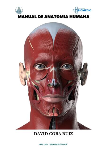 MANUAL ANATOMIA HUMANA DAVID COBA RUIZ BIOMEDIC | Mafi Gallarday | uDocz