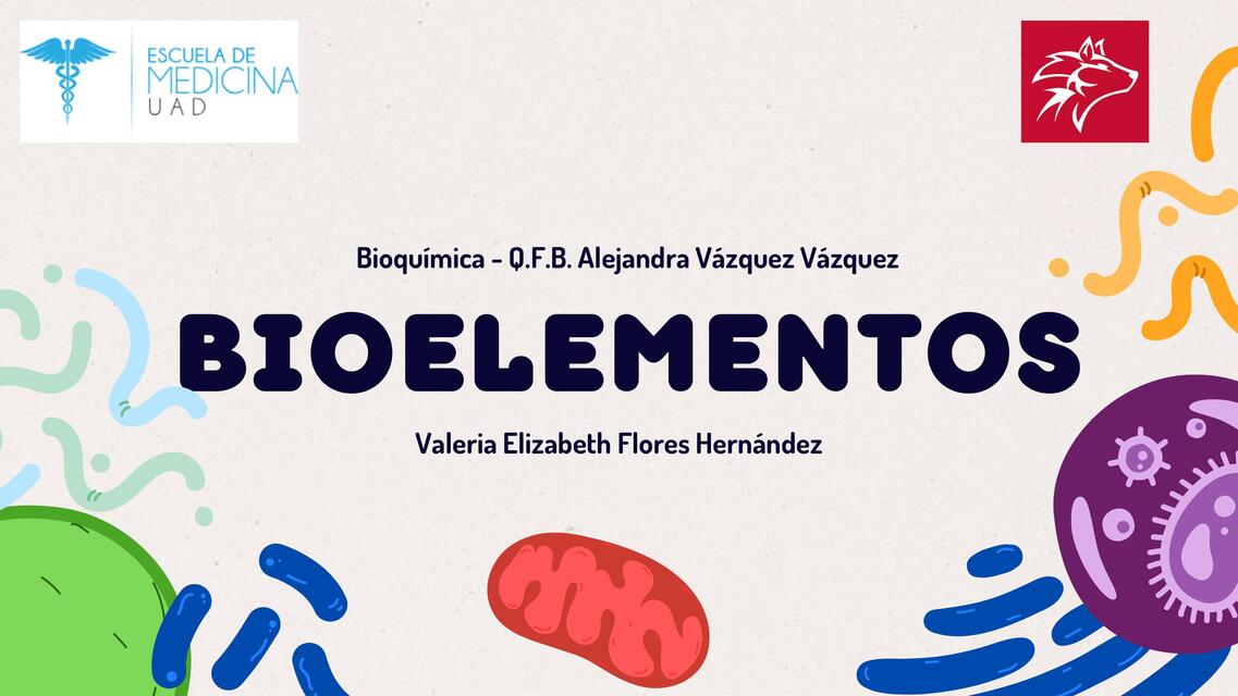 Bioelementos | Valeria | uDocz