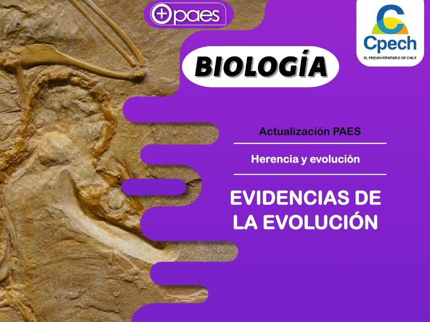 evidencias de la evolucion 16 | Alexis | uDocz