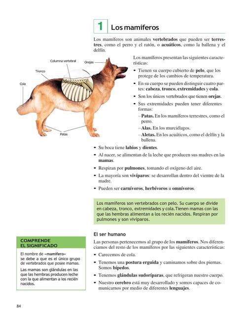 Animales vertebrados | Cecilia Rios | uDocz