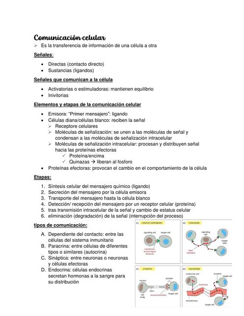 RESUMEN BIO TEO últimas semanas | ciel | uDocz