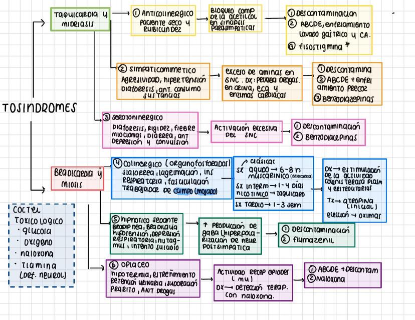 Toxindromes | Valeria Michell Barajas | uDocz