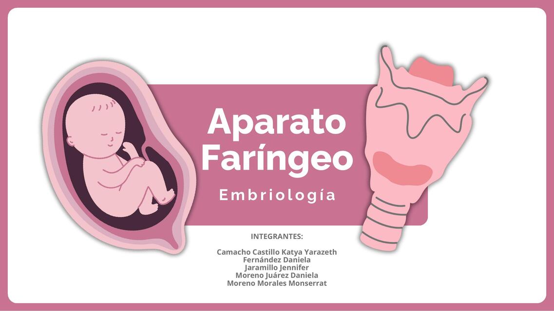 Aparato Faríngeo | KENIA DEL ANGEL QUINTERO | uDocz