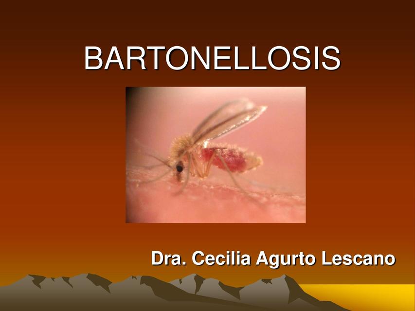 Todo sobre Bartonellosis | Ahmed Casana | uDocz