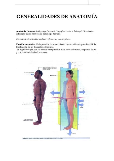 Generalidades de Anatomía | Lu Berutti | uDocz