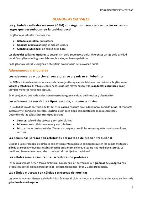 Glándulas Salivales | Lu Berutti | uDocz