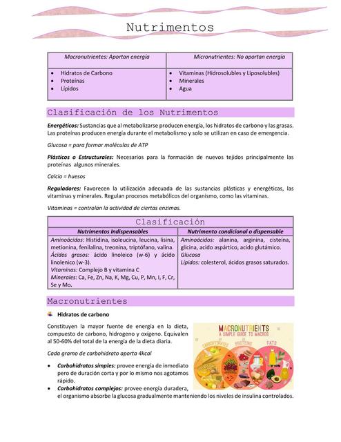 Nutrimentos | Alejandra Avila | uDocz