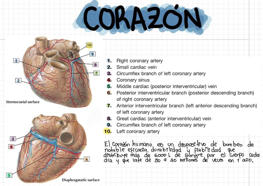 Cap 12 Corazón | Valentina Lopez | uDocz