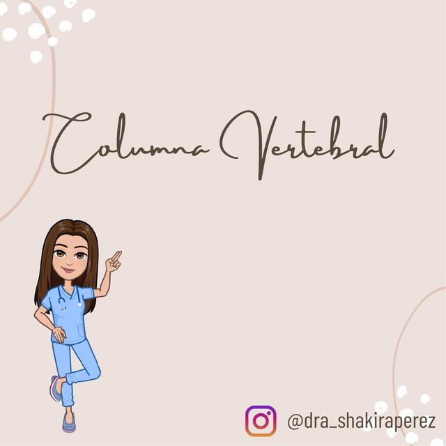 Flashcards de Columna Vertebral | Por Shakira Perez Alva | uDocz