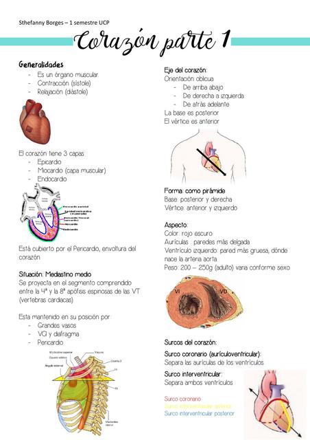 Corazón | Sthefanny Borges - UCP | uDocz