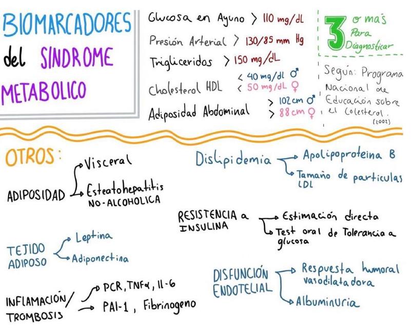 Biomarcadores del síndrome metabólico | Fatima Oyola | uDocz
