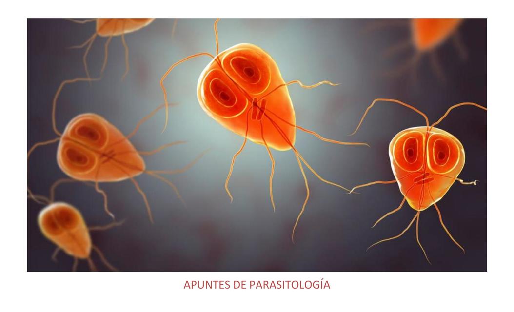 Apuntes de Parasitología | Isabel Maldonado | uDocz