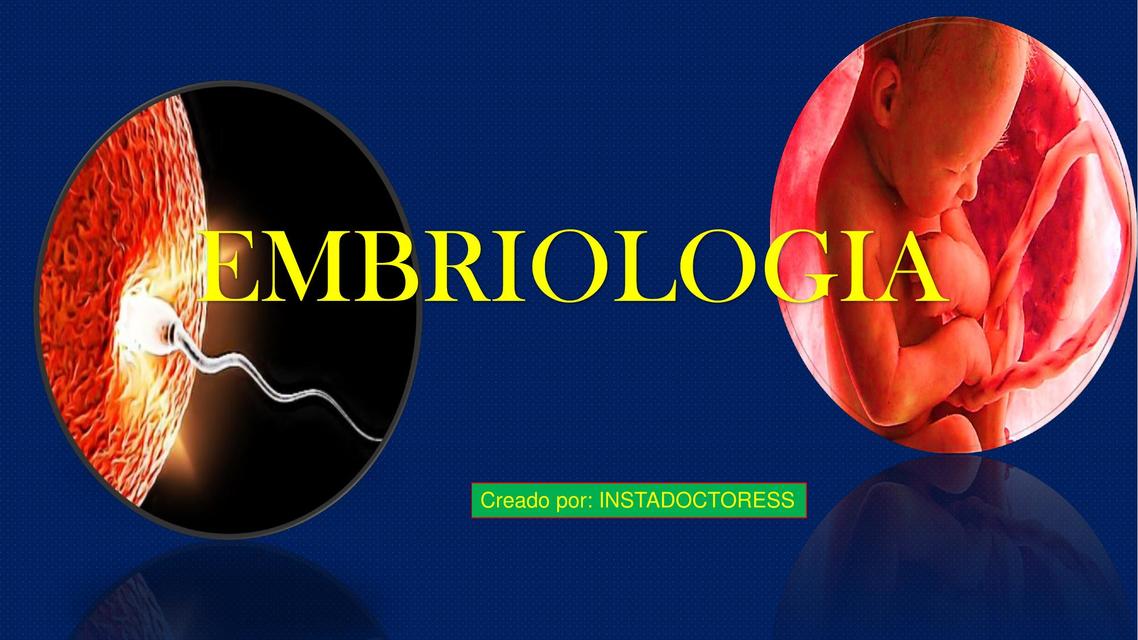 Resúmenes de Genética y embriología | Descarga apuntes de Genética y ...