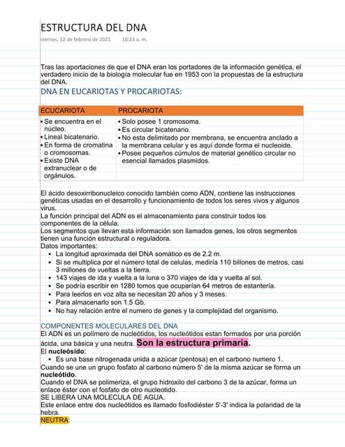 ESTRUCTURA DEL DNA - Estructura primaria secundaria y terciaria ...