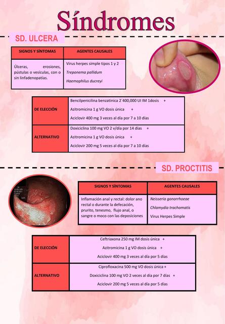 ITS | Sandra Nicole | uDocz