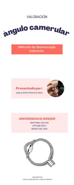 Valoración del ángulo camerular | Sofía Palomino Soto | uDocz