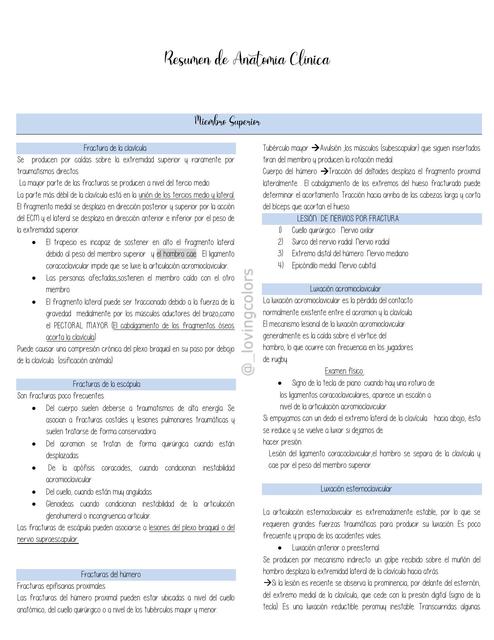 Resumen de Anatoma Clínica | _lovingcolors | uDocz