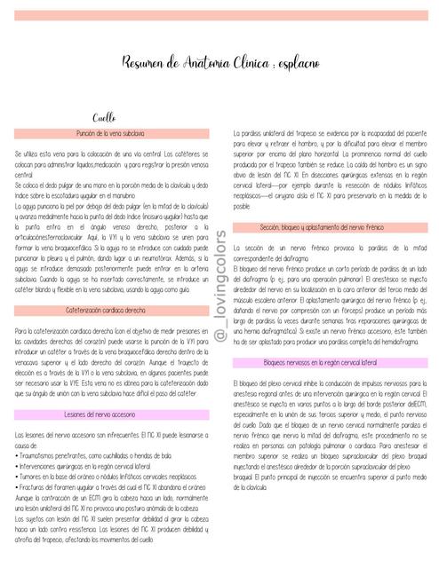 Flashcards de Resumen de Anatoma Clínica ESPLACNO | Por _lovingcolors ...