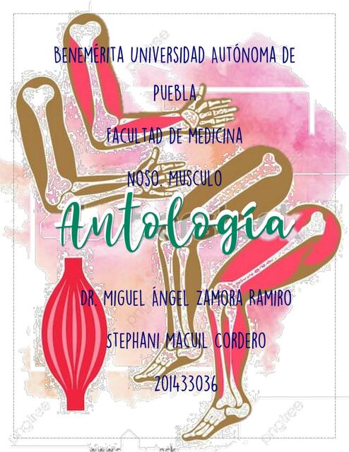 Antología Nosología | Steph Mac | uDocz