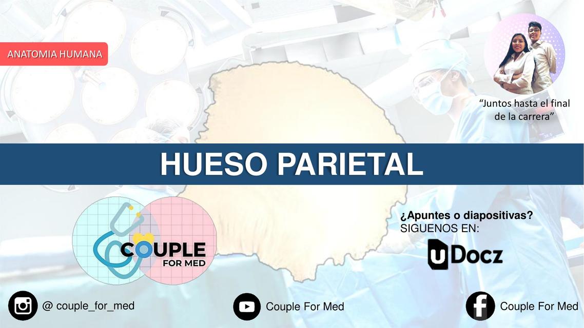 Material Audiovisual Hueso Parietal (Caras Bordes y Ángulos) | Couple ...