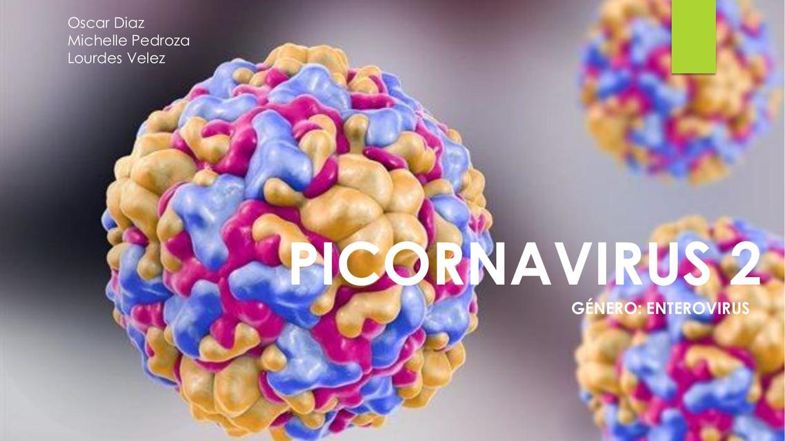 Picornavirus | Michelle Pedroza | uDocz