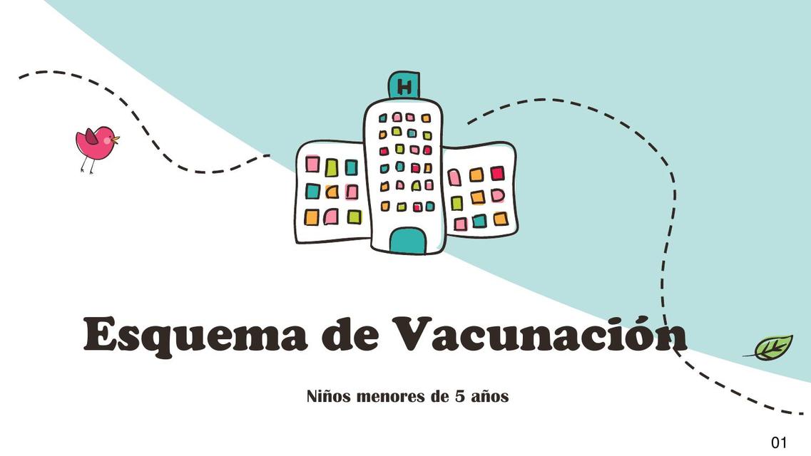 Esquema De Vacunación Con Su Historia De La Enfermedad En Niños Menores