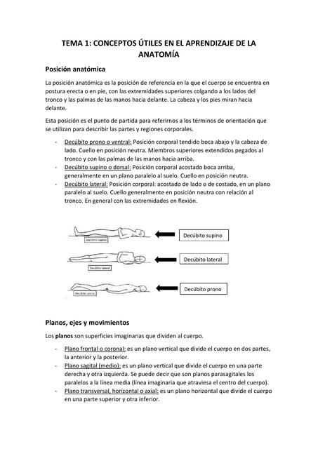 Tema 1 conceptos útiles de anatomía | patri moreno valle | uDocz