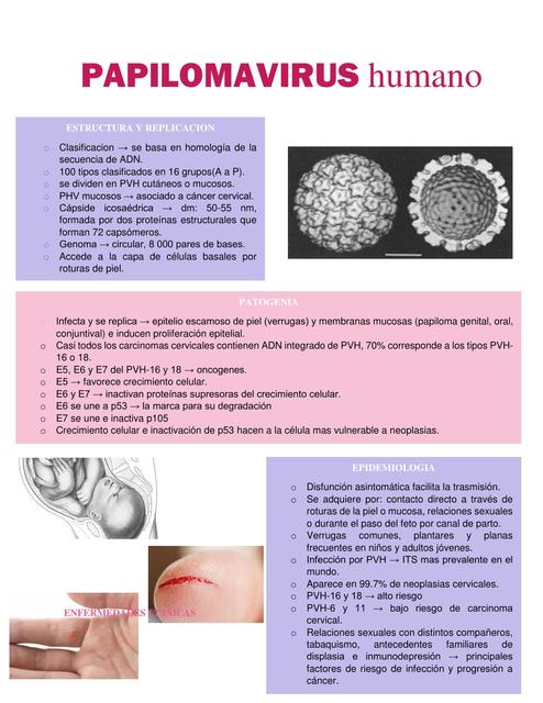 Resumen VPH | Marcela Rms | uDocz