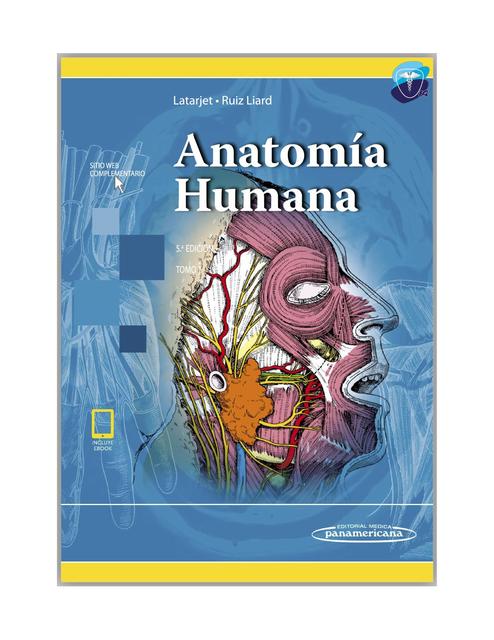 Anatomía Humana | Estefanis Gutierrez | uDocz