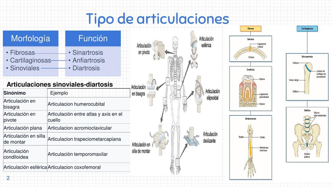 Luxaciones generalidades | META | uDocz