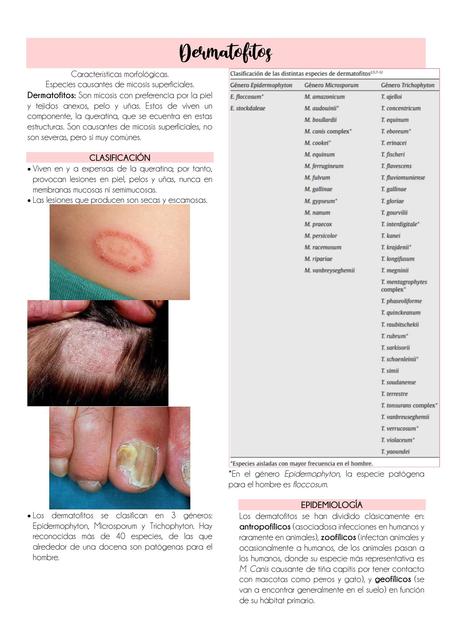 Dermatofitos | Denisse Vega Huitrón | uDocz