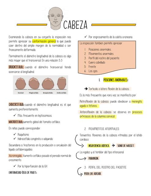 Examen Físico de la Cabeza | Paola Montufar | uDocz Examen Físico de la Cabeza | Paola Montufar | uDocz