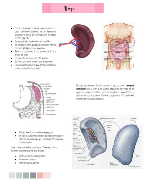 Bazo | Chaosmere | uDocz