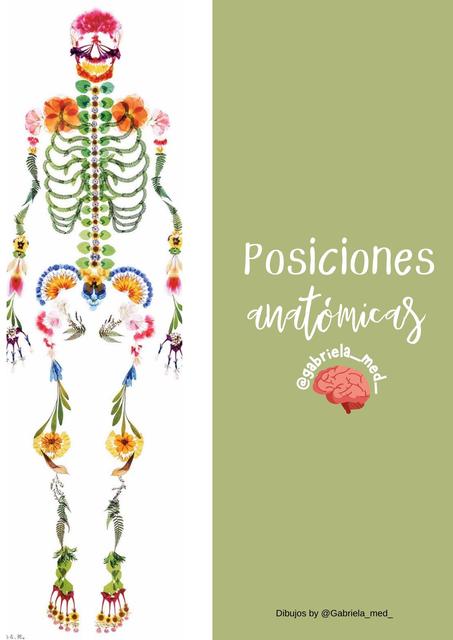 Anatomía | uDocz