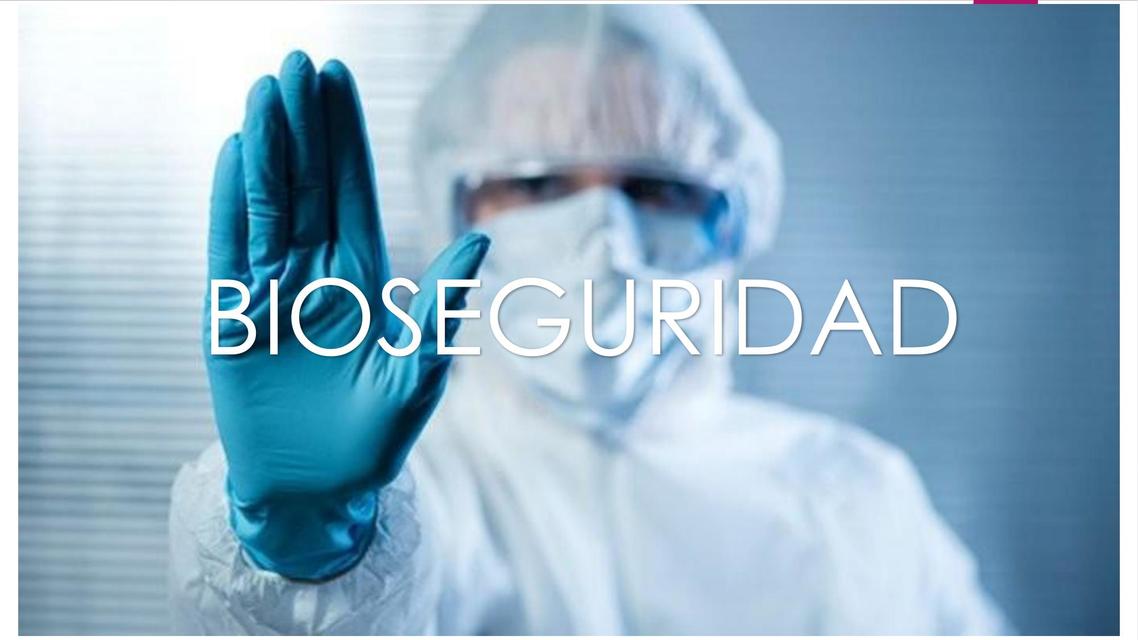 Normas De Bioseguridad | LAURA ... | uDocz