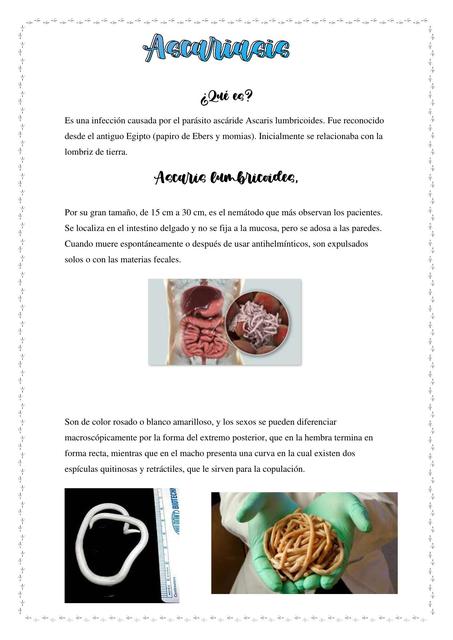Ascariasis | Alba Pichardo López | uDocz Ascariasis | Alba Pichardo López | uDocz