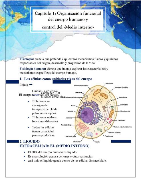 Organización funcional del cuerpo humano y control del «Medio interno»