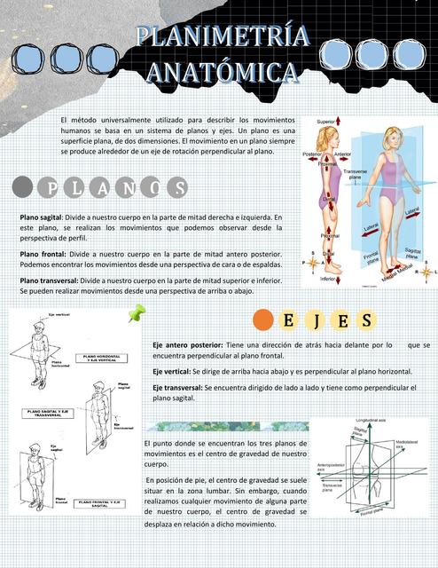 Planimetría Anatómica Raiza Caamal Udocz