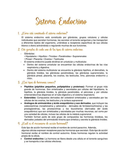 Sistema Endocrino | Sofia Isabel Alvarado Camacho | uDocz